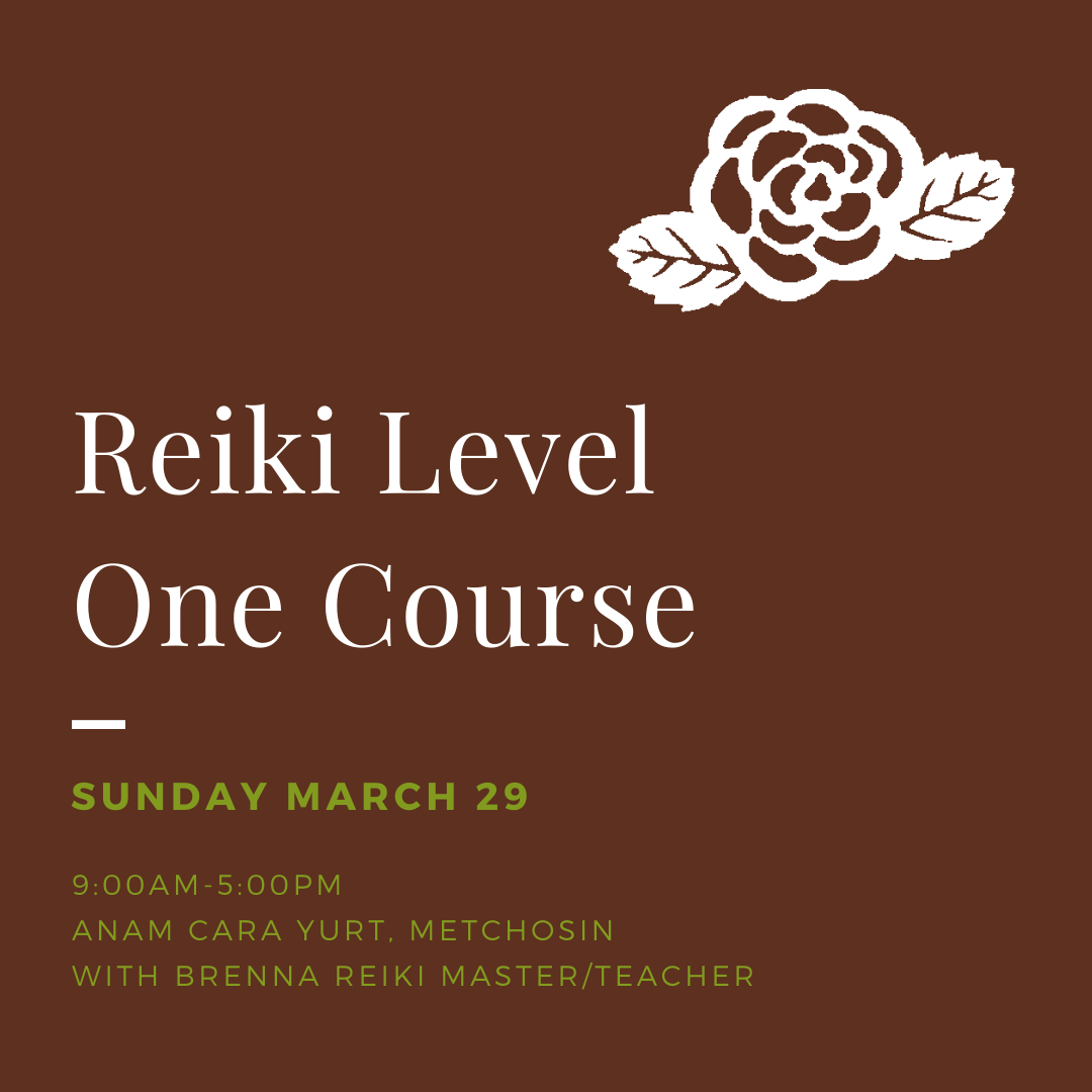 Reiki Level One course happening soon! – Brenna Reiki Master